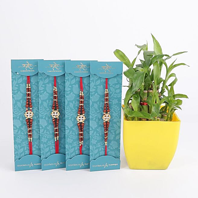 Buy/Send beautiful pearl rakhi n plant mp1432 Online- FNP