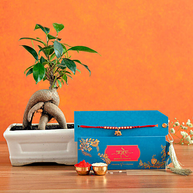 Buy/Send Beads Bracelet Rakhi & Ficus Bonsai Plant Hamper Online- FNP