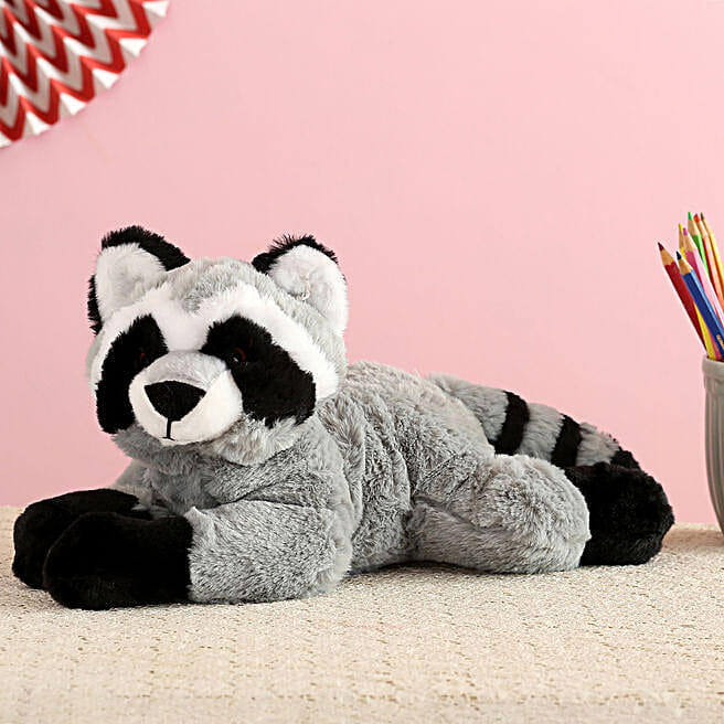 Buy/Send Wild Republic Ecokins Plush Raccoon Soft Toy Online- FNP