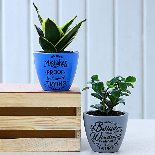 Buy/Send Set Of 2 Airpurifying Plants In Quote Written Pots Online- FNP