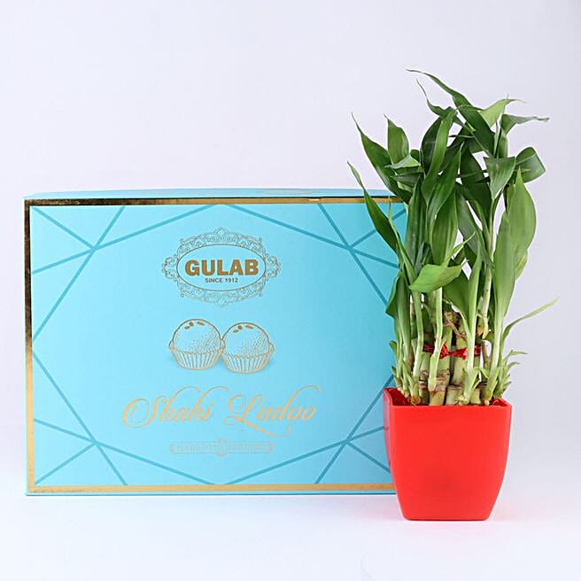 Buy/Send gulab shahi ladoo with 2 layer red pot Online- FNP