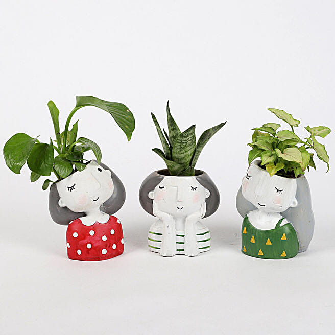 Buy/Send Set Of 3 Green Plants In Cute Girl Pots Online- Ferns N Petals