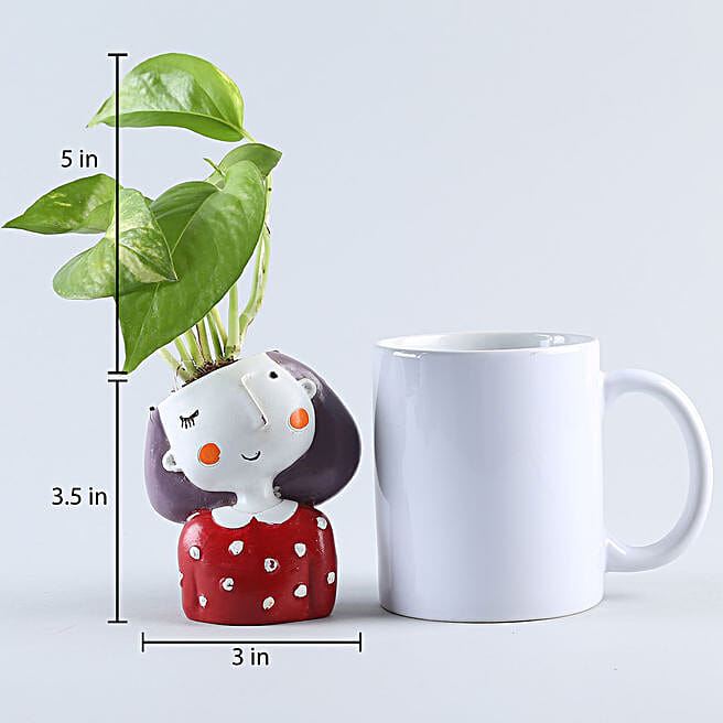 Buy/Send Set Of 3 Green Plants In Cute Girl Pots Online- Ferns N Petals