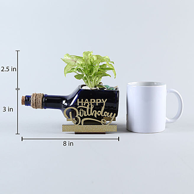 Buy/Send Syngonium Plant In Happy Birthday Antiquity Bottle Planter ...