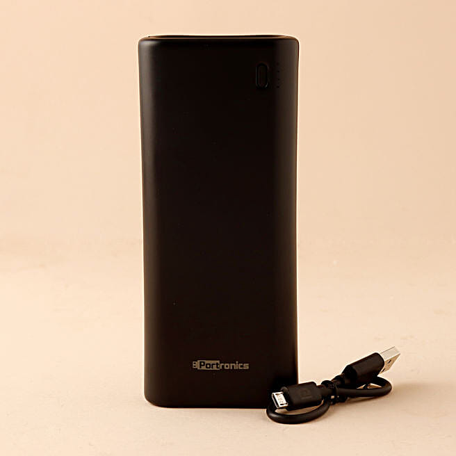 Buy/Send Indo 20X Dual Input Power Bank Online- FNP