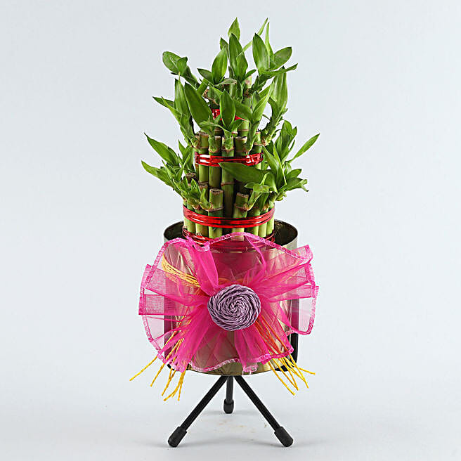 Buy/Send 3 Layer Bamboo Plant Embossed Pot With Stand Online- FNP