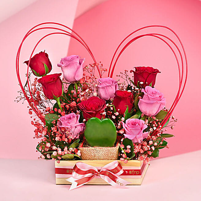 Buy/Send Dual-Tone Rose & Hoya Gift Tray Online- FNP