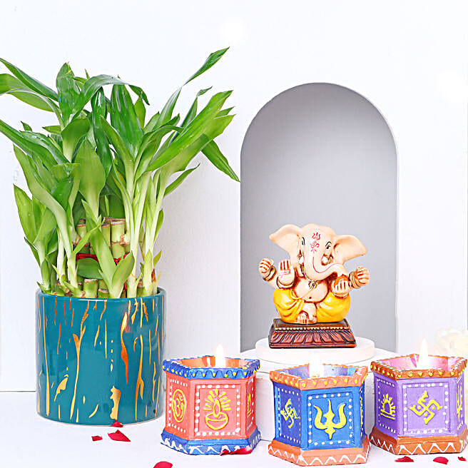Buy/Send Diwali Bamboo Plant Blessings Online- FNP