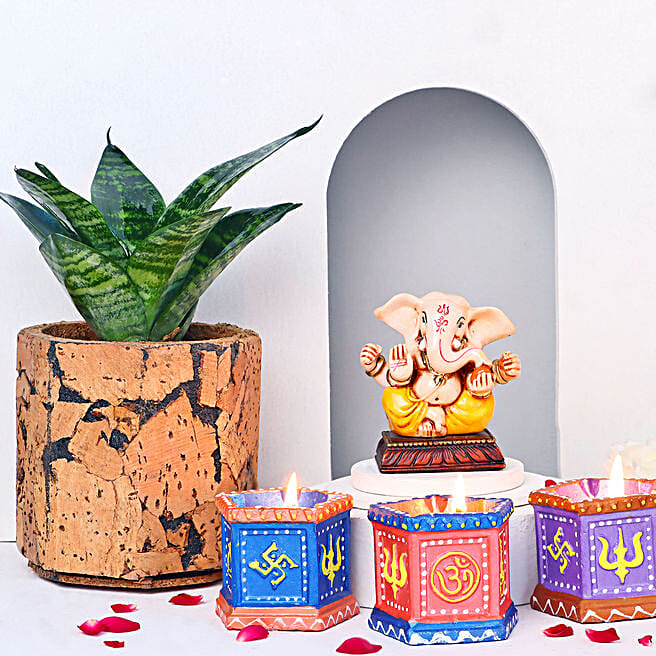 Buy/Send Diwali Sansevieria Snake And Plant Trove Online- FNP