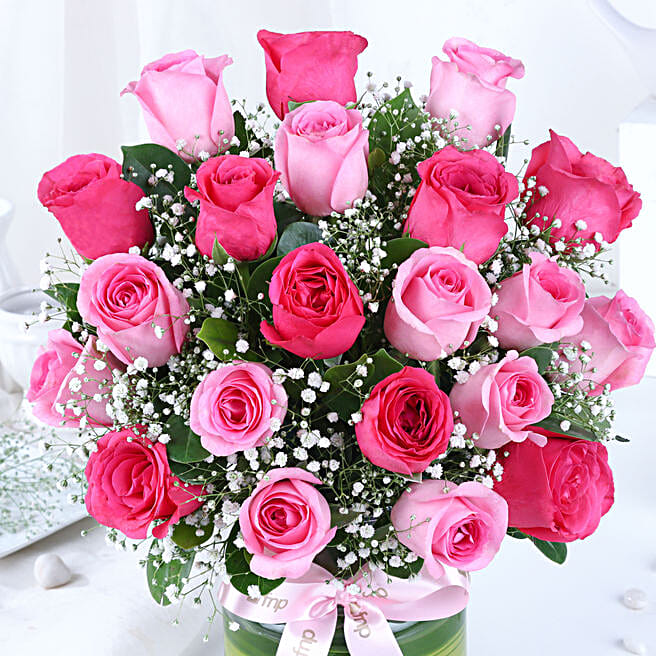 Beautiful Pink Rose Flower Images | Best Flower Site