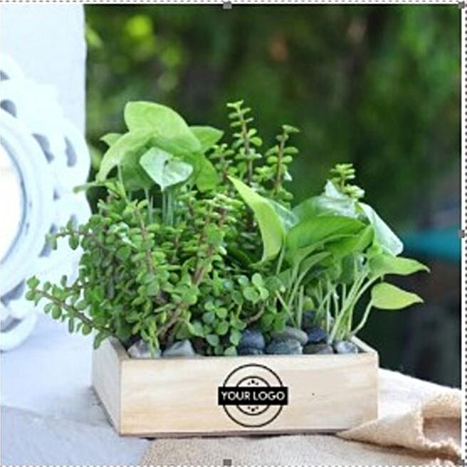 Buy/Send Corp hamper for study square Online- FNP