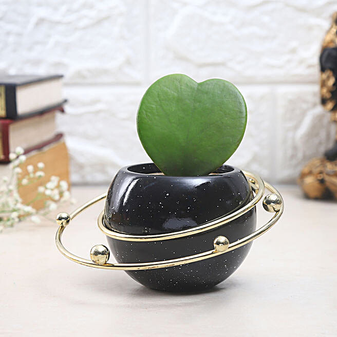 Buy/Send Hoya Plant In Celestial Planet Pot Online- FNP