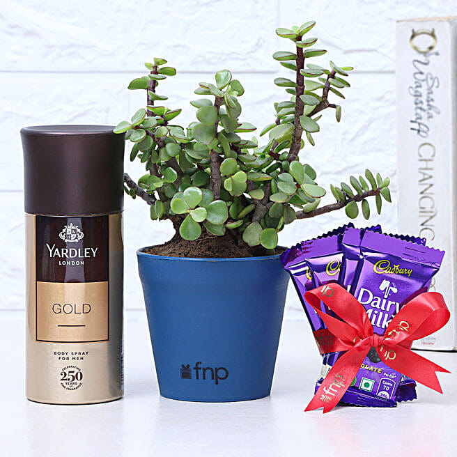 Buy/Send Jade Beauty & Goodies Combo Online- FNP