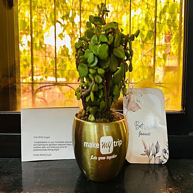 Buy/Send corp hamper (mmt card) Online- FNP