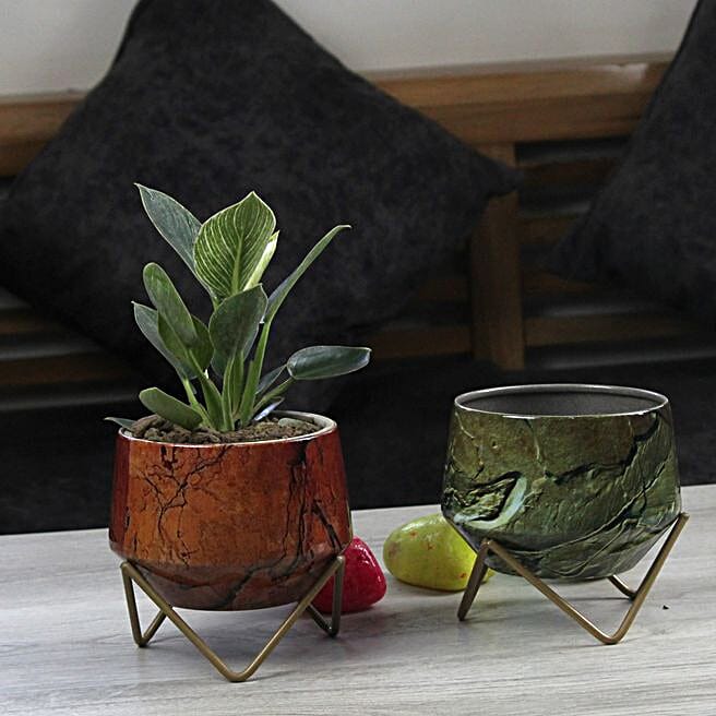 Buy/Send Designer Table Top Pot Set Online- FNP