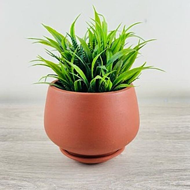 Buy/Send Mickey Print Table Top Pot Set Online- FNP