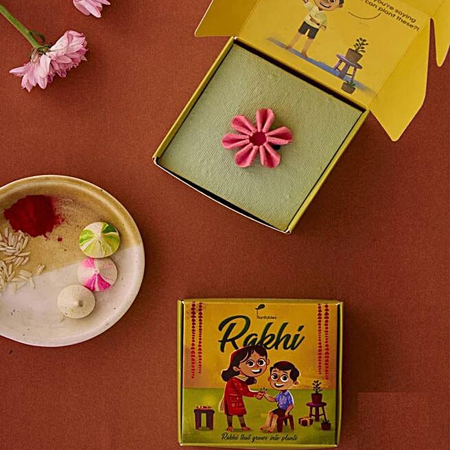 Buy/Send Daisy Delight Plantable Rakhi Set Online- FNP