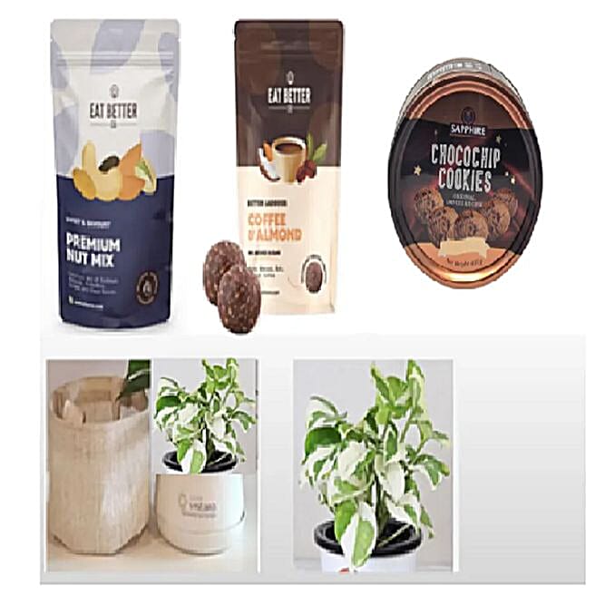 Buy/Send Corp Hamper I-DAsh Online- FNP