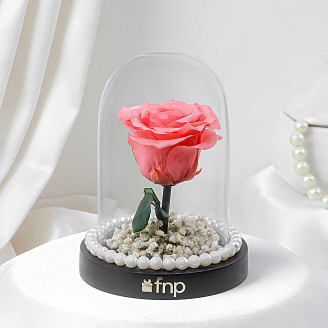 Buy/Send Forever Blooming Rose Women's Day Gift Online- FNP