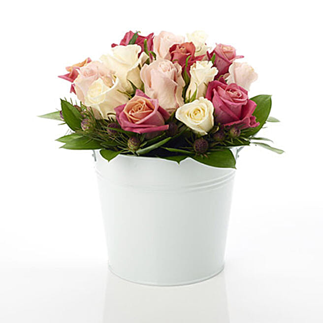 Pink Rose Nestle new-zealand | Gift Pink Rose Nestle- FNP