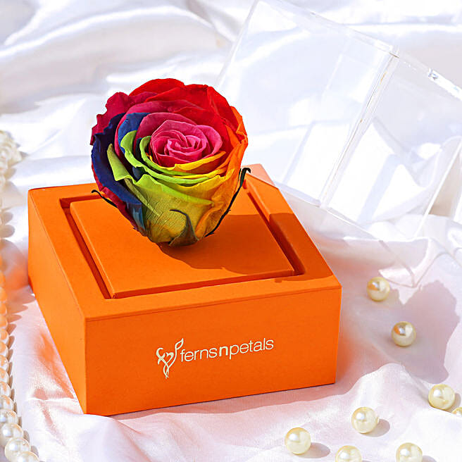 Rainbow Forever Rose In Orange Box new-zealand | Gift Rainbow Forever ...