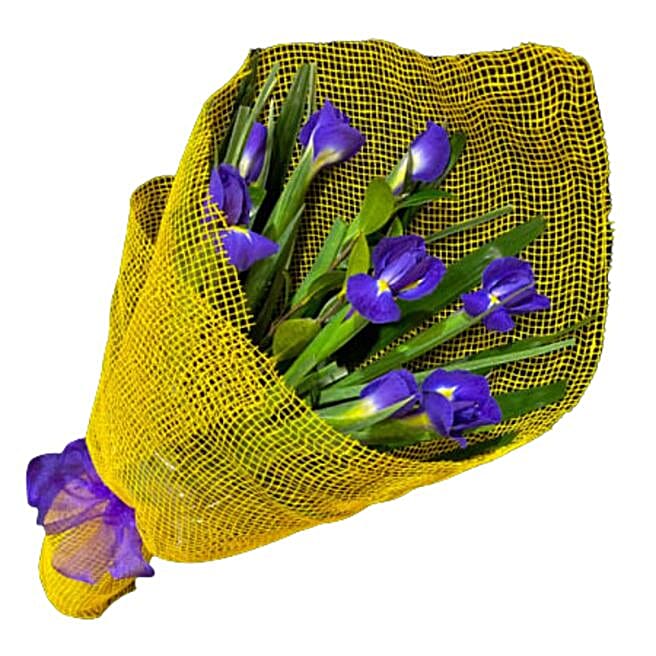 Iris Bouquet new-zealand | Gift Iris Bouquet- FNP