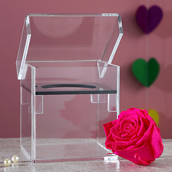 Pink Forever Rose In Acrylic Box oman | Gift Pink Forever Rose In ...