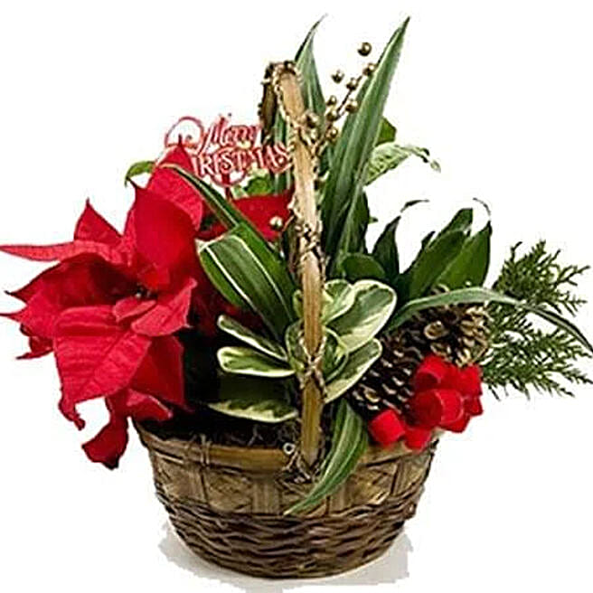 Unbeleafable philippines | Gift Unbeleafable- FNP