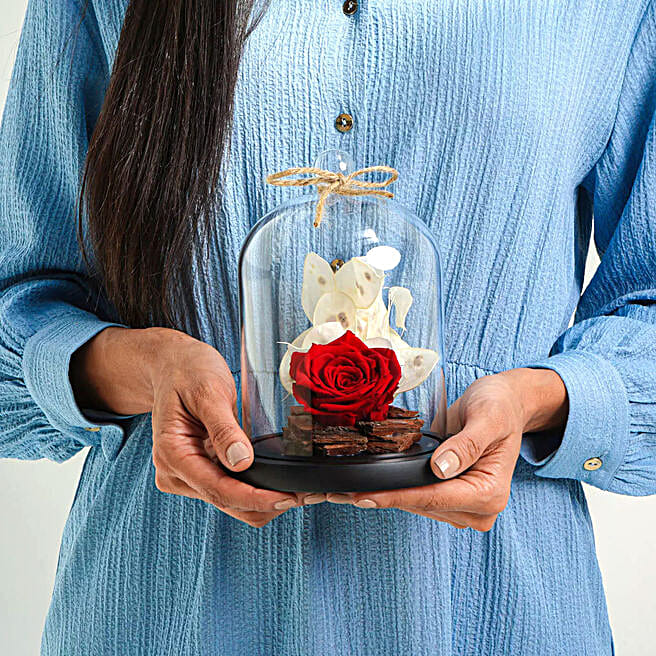 Forever Red Rose In Glass Dome qatar | Gift Forever Red Rose In Glass ...