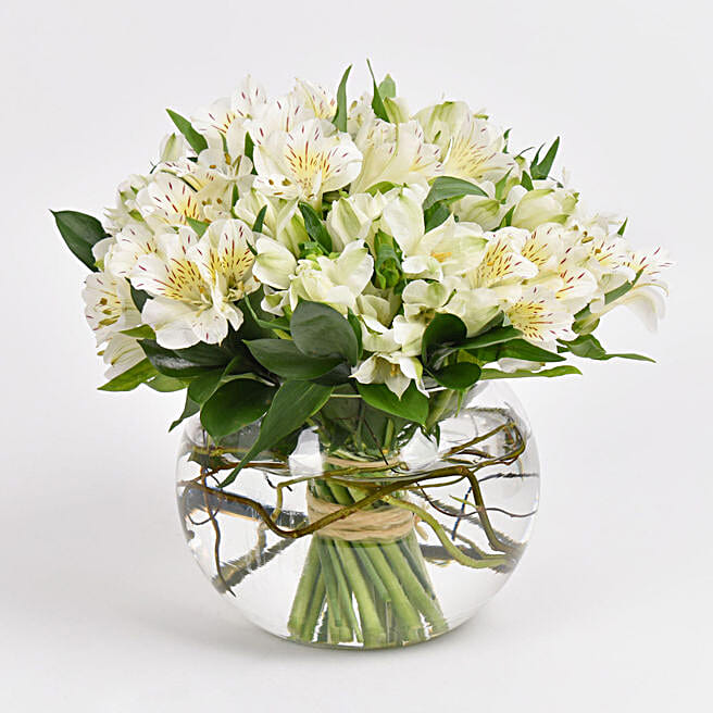 White Peruvian Lily Arrangement qatar | Gift White Peruvian Lily ...