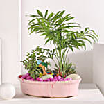 Buy/Send Chamaedorea and Jade Plant Harmony Online- FNP