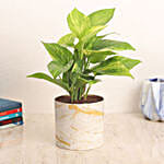 Buy/Send Money Plant In Abstract Metal Vase Online- FNP