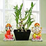 Buy/Send Pyramid Bamboo Combo Online- FNP