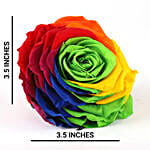 Buy/Send Big Forever Rainbow Rose in Black Velvet Box Online- FNP