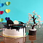 Buy/Send Drooly Chocolate Cake & Wish Tree Online- FNP