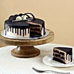Buy/Send Drooly Chocolate Cake & Wish Tree Online- FNP