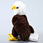 Buy/Send Wild Republic Bald Eagle Soft Toy Online- FNP