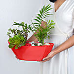 Buy/Send Goodness of Plants In Ship Pot Online- FNP