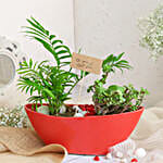 Buy/Send Goodness of Plants In Ship Pot Online- FNP