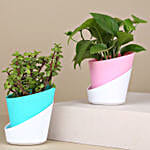Buy/Send Conical Planter Duo Online- FNP
