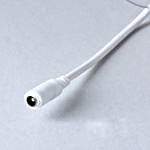 Buy/Send Personalised Neon Name Light Online- FNP