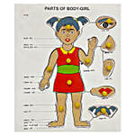 Buy/Send Human Body Parts Tray Puzzle With Knobs Online- FNP