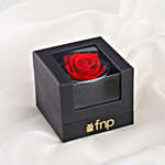 Buy/Send Crimson Forever Rose Chocolate Delight Online- FNP