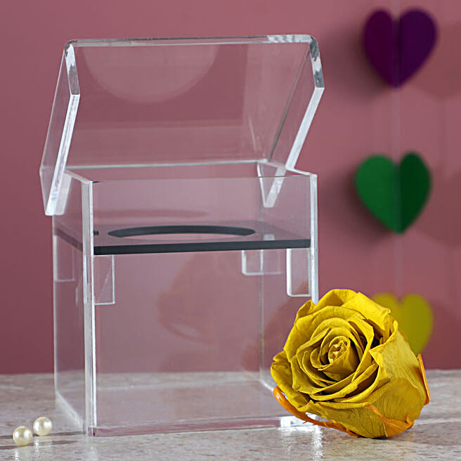 Olive Green Forever Rose In Acrylic Box switzerland | Gift Olive Green ...