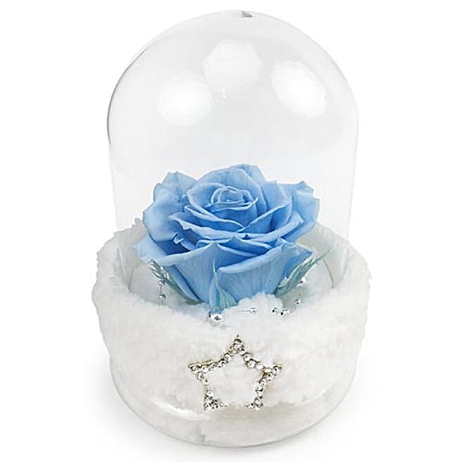 Forever Blue Everlasting Love Rose thailand | Gift Forever Blue ...