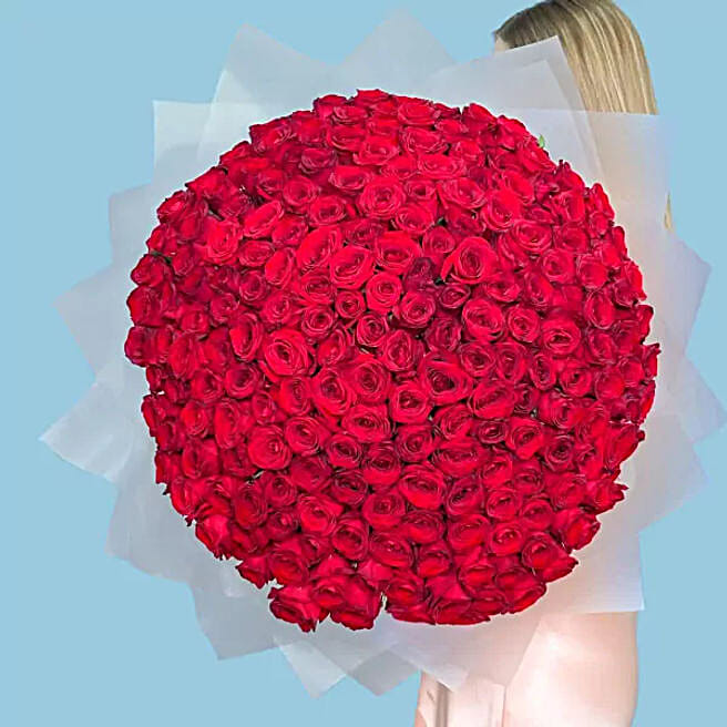 200 Red Roses Bouquet thailand | Gift 200 Red Roses Bouquet- FNP