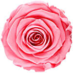 Pretty Pink Forever Rose In Wooden Box thailand | Gift Pretty Pink ...