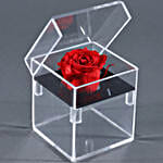 Magnificent Red Forever Rose In Acrylic Box turkey | Gift Magnificent ...