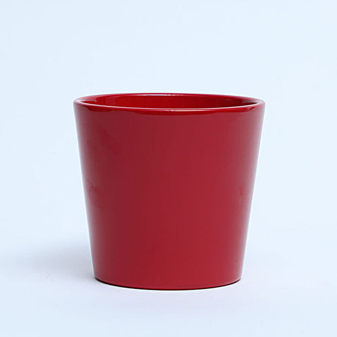 Red Ceramic Planter uae | Gift Red Ceramic Planter- FNP