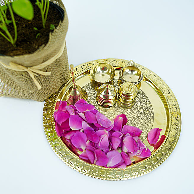Tulsi Plant and Pooja Thali uae | Gift Tulsi Plant and Pooja Thali ...